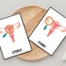 Female Reproductive System Flashcards, Female Human Anatomy Busy Book ...