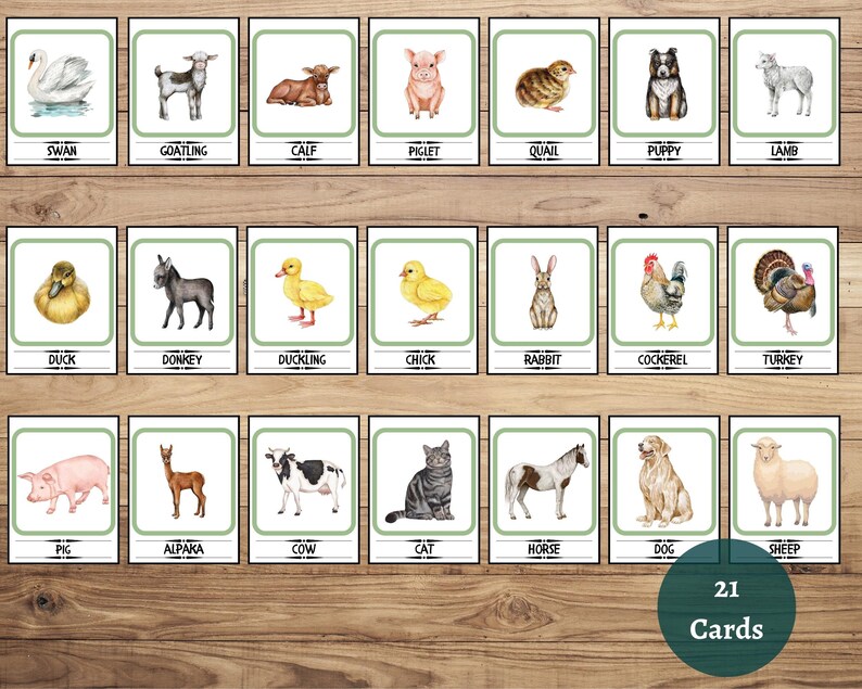 Farm Animals Flash Cards, Pet Flash Cards, Editable Printable Cards ...