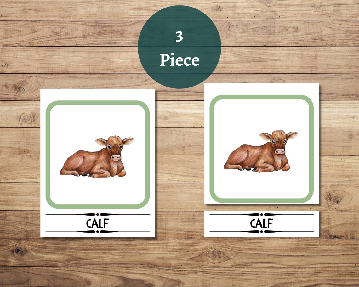 Farm Animals Flash Cards, Pet Flash Cards, Editable Printable Cards ...