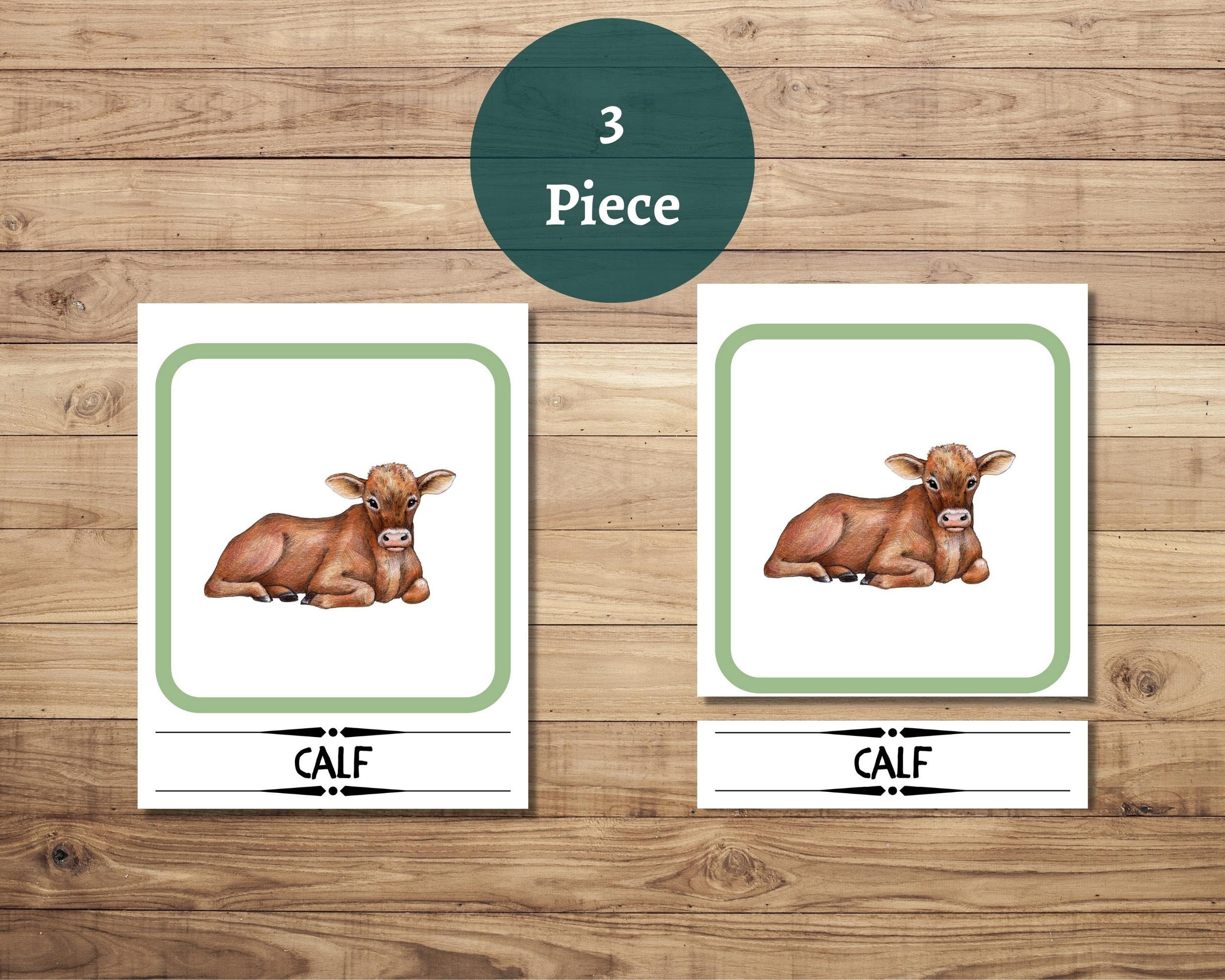 Farm Animals Flash Cards, Pet Flash Cards, Editable Printable Cards ...