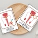 Male Reproductive System Flashcards, Male Human Anatomy Busy Book ...