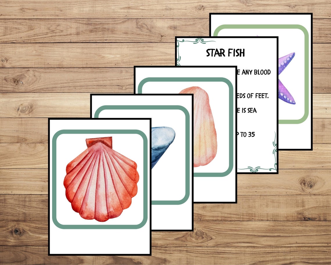 Watercolor Seashell Cards, Classroom Decor, Communication Flash Cards ...
