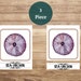 Watercolor Seashell Cards, Classroom Decor, Communication Flash Cards ...