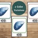 Watercolor Seashell Cards, Classroom Decor, Communication Flash Cards ...