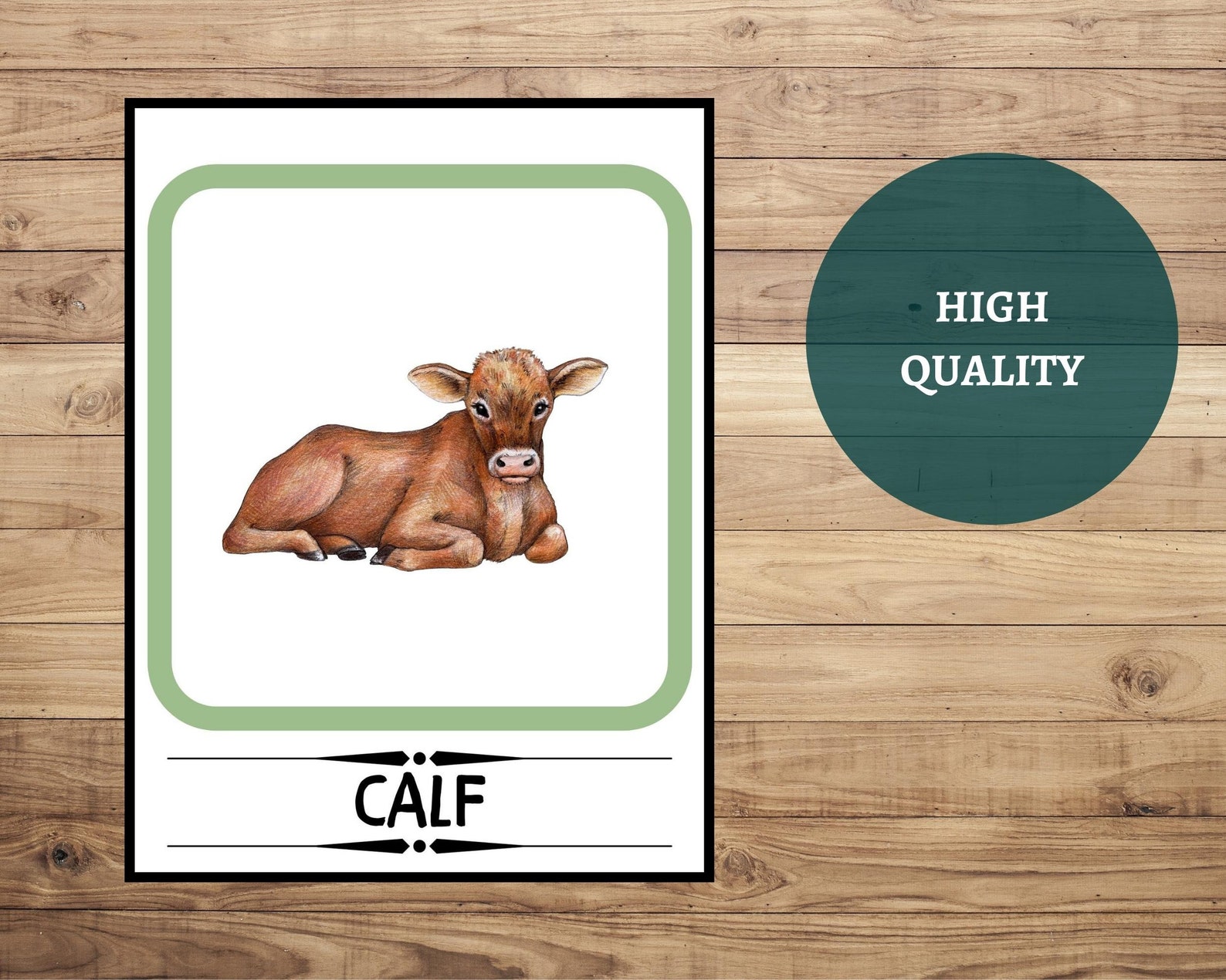 Farm Animals Flash Cards, Pet Flash Cards, Editable Printable Cards ...