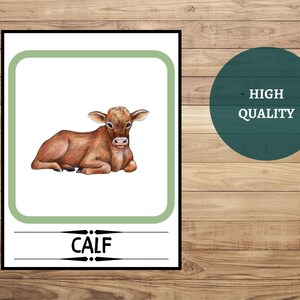 Farm Animals Flash Cards, Pet Flash Cards, Editable Printable Cards ...