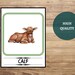 Farm Animals Flash Cards, Pet Flash Cards, Editable Printable Cards ...