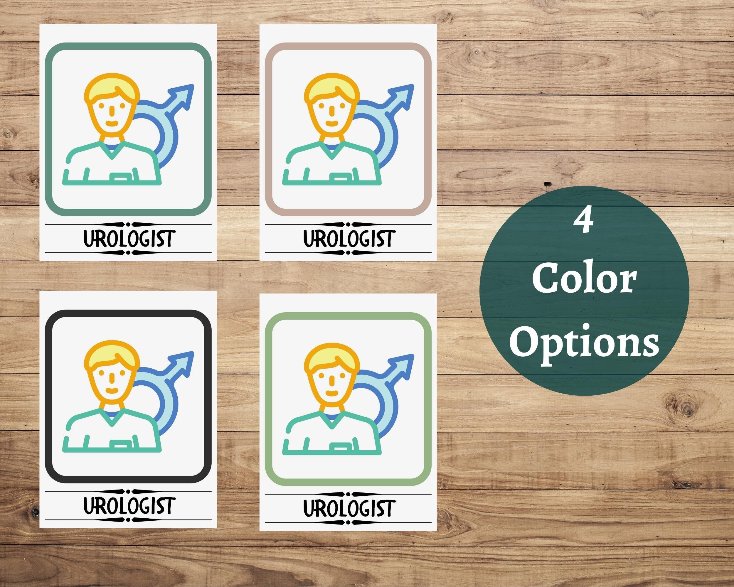 Male Reproductive System Flashcards, Male Human Anatomy Busy Book ...