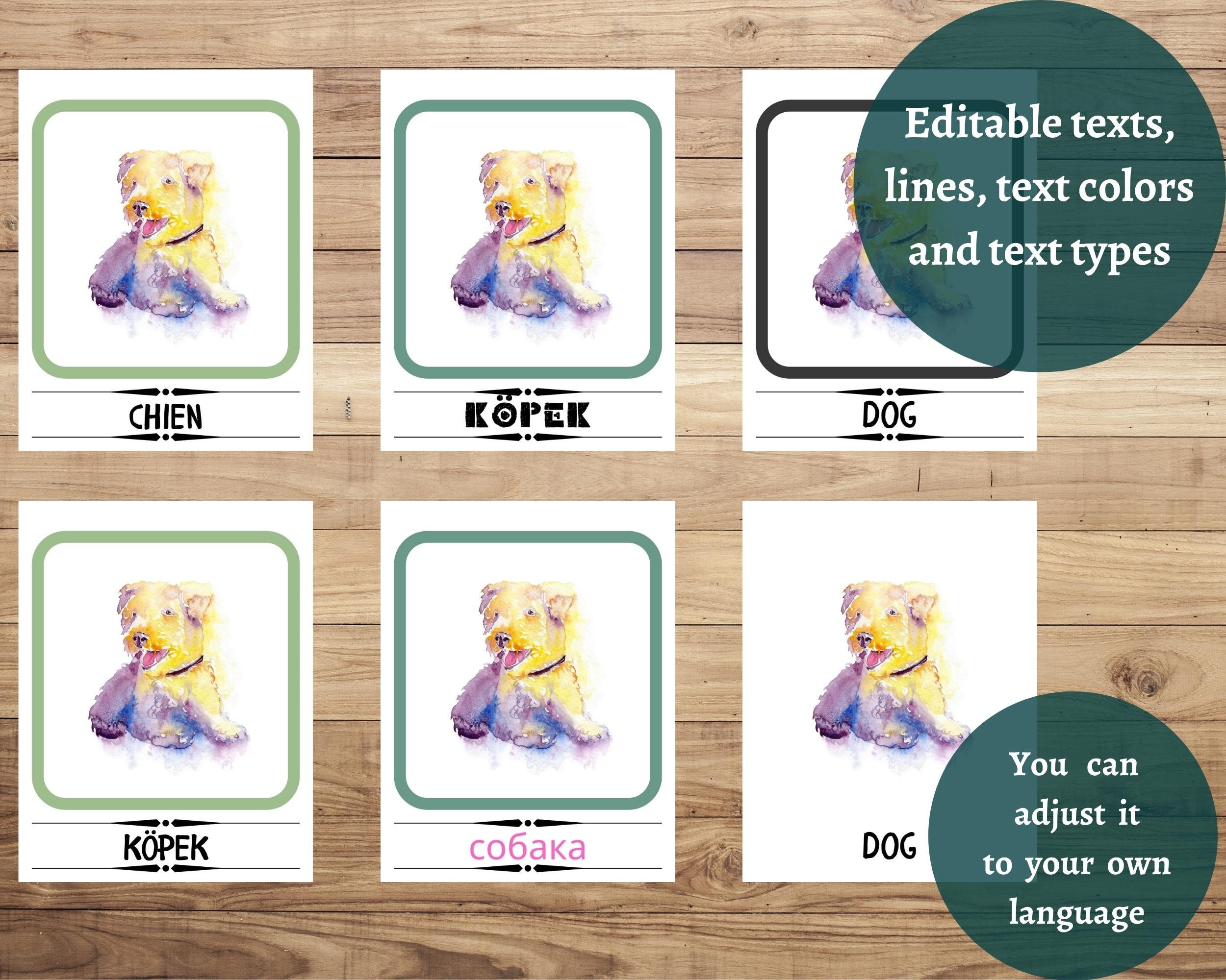 Watercolor Chinese Zodiac Animals Flashcards, Lunar New Year Montessori ...