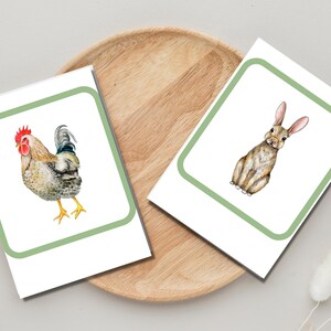 Farm Animals Flash Cards, Pet Flash Cards, Editable Printable Cards ...