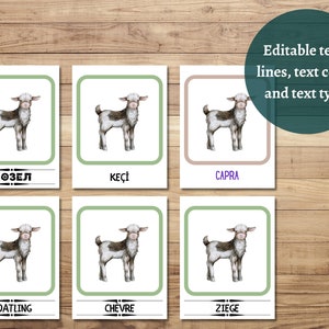 Farm Animals Flash Cards, Pet Flash Cards, Editable Printable Cards ...