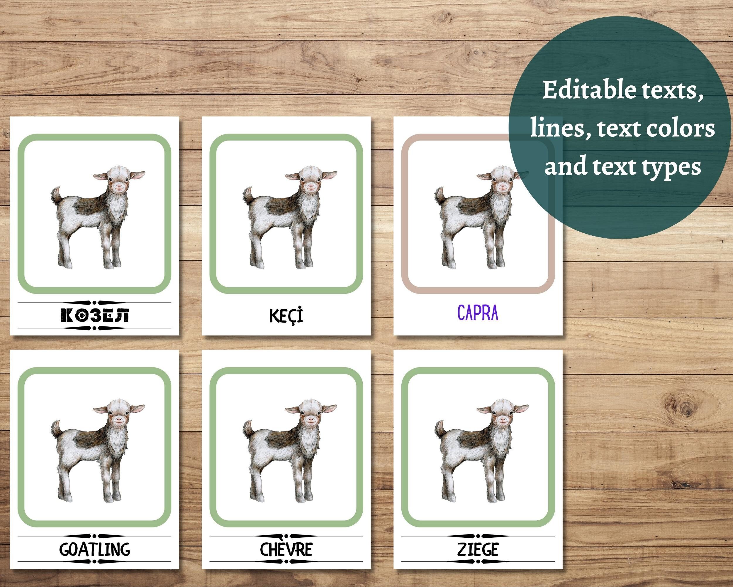 Farm Animals Flash Cards, Pet Flash Cards, Editable Printable Cards ...