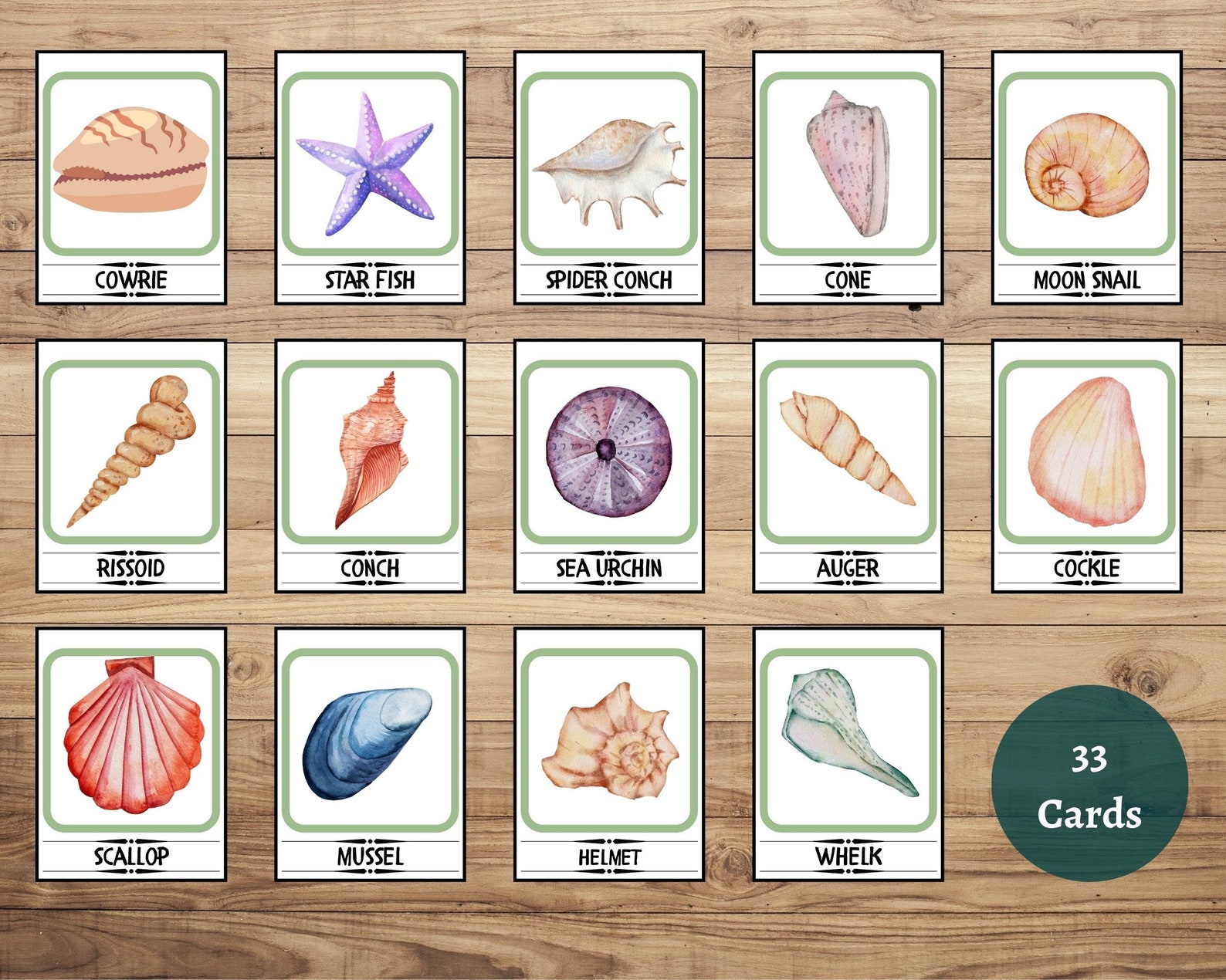 Watercolor Seashell Cards, Classroom Decor, Communication Flash Cards ...