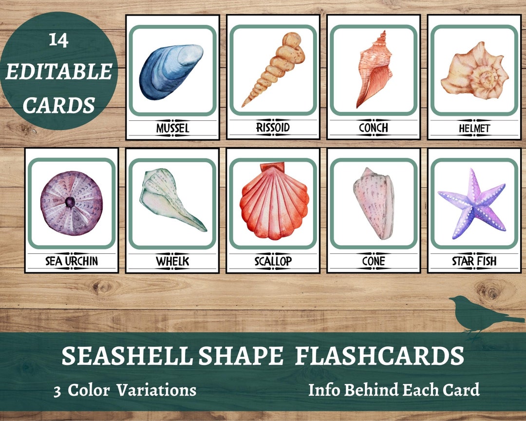 Watercolor Seashell Cards, Classroom Decor, Communication Flash Cards ...