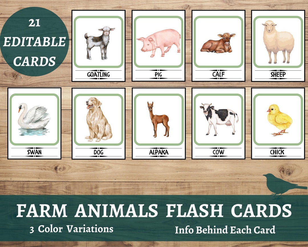 Farm Animals Flash Cards, Pet Flash Cards, Editable Printable Cards ...