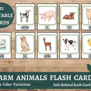 Farm Animals Flash Cards, Pet Flash Cards, Editable Printable Cards ...