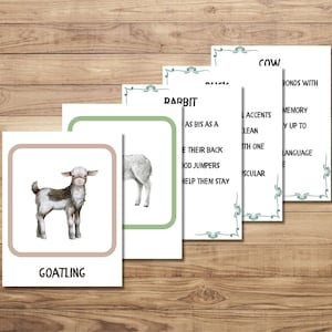 Farm Animals Flash Cards, Pet Flash Cards, Editable Printable Cards ...
