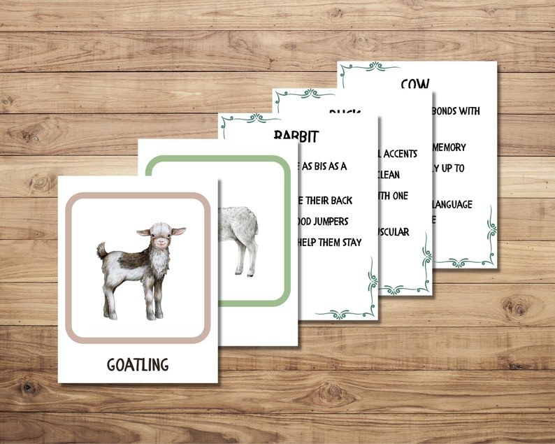 Farm Animals Flash Cards, Pet Flash Cards, Editable Printable Cards ...