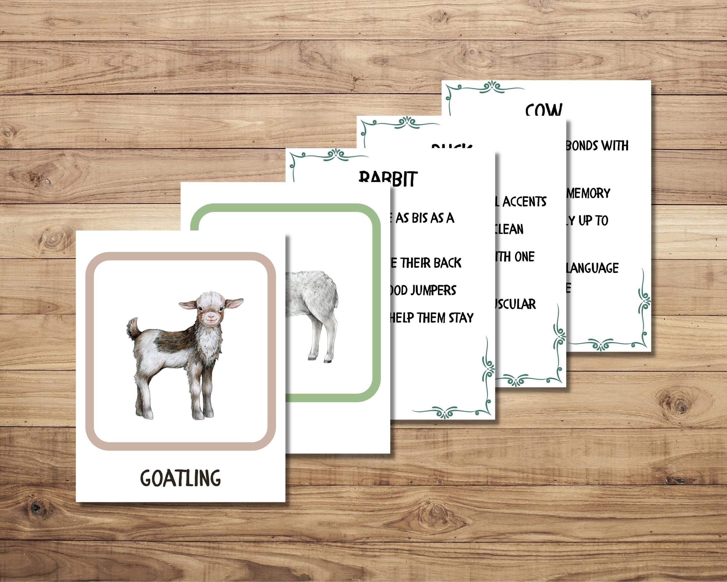 Farm Animals Flash Cards, Pet Flash Cards, Editable Printable Cards ...