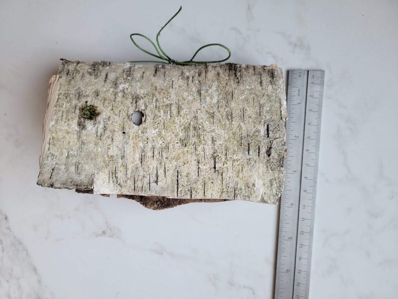 Birch Bark Booklet: Green Binding, 26 Pages - Etsy