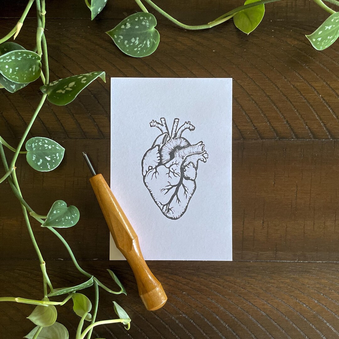 Anatomical Heart Print - 4"x6" Handmade Print - Etsy