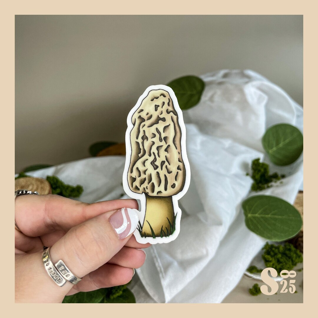 Common Morel Mushroom Sticker - Etsy