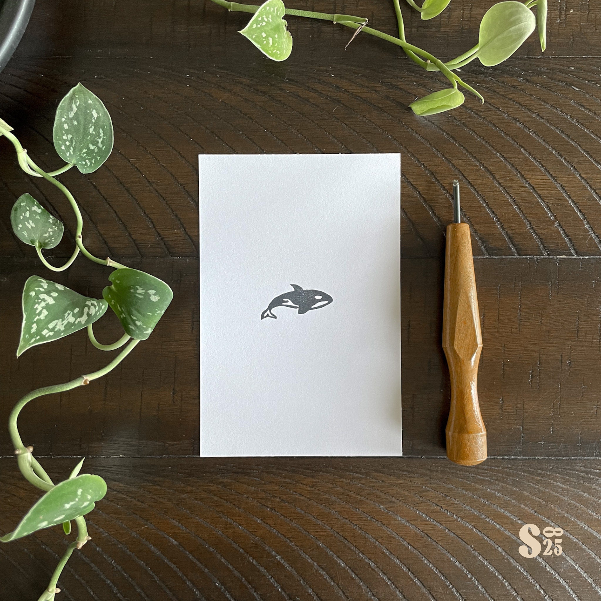 Orca Print - 4"x6" Handmade Print - Etsy