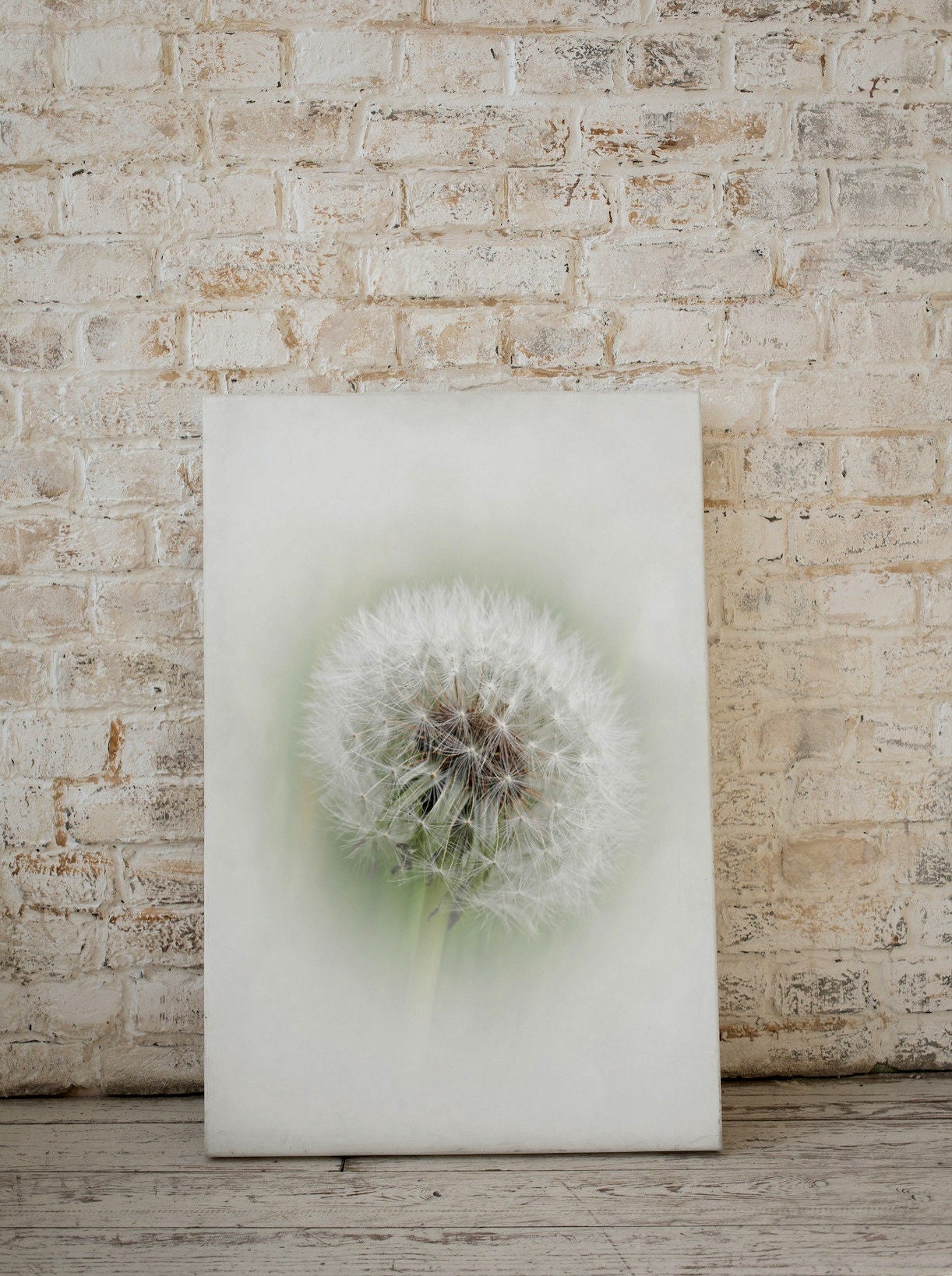 Dandelion Dandelion Buttercup Poster Poster Photo Digital Download - Etsy