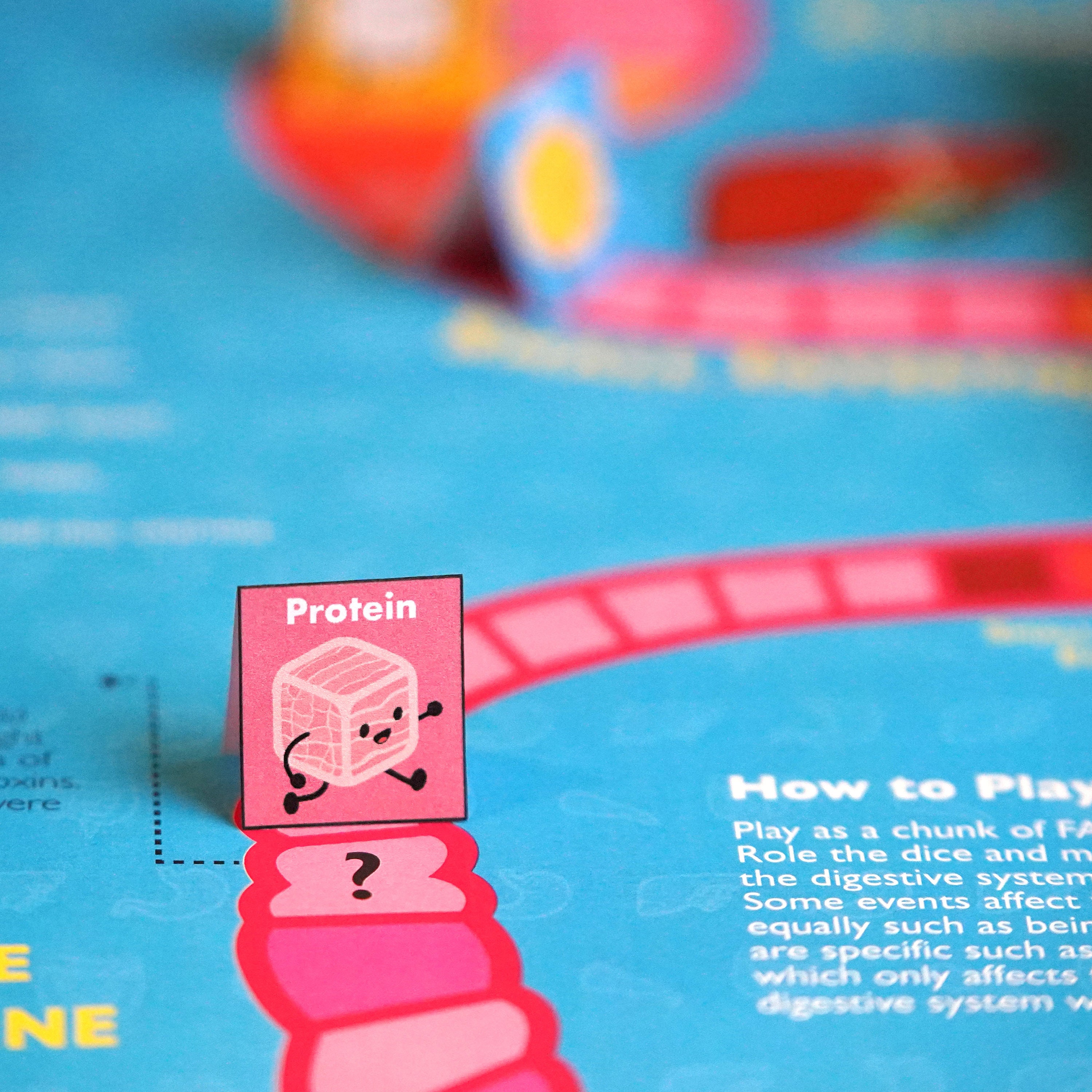 Digestive System Mini Game - Etsy