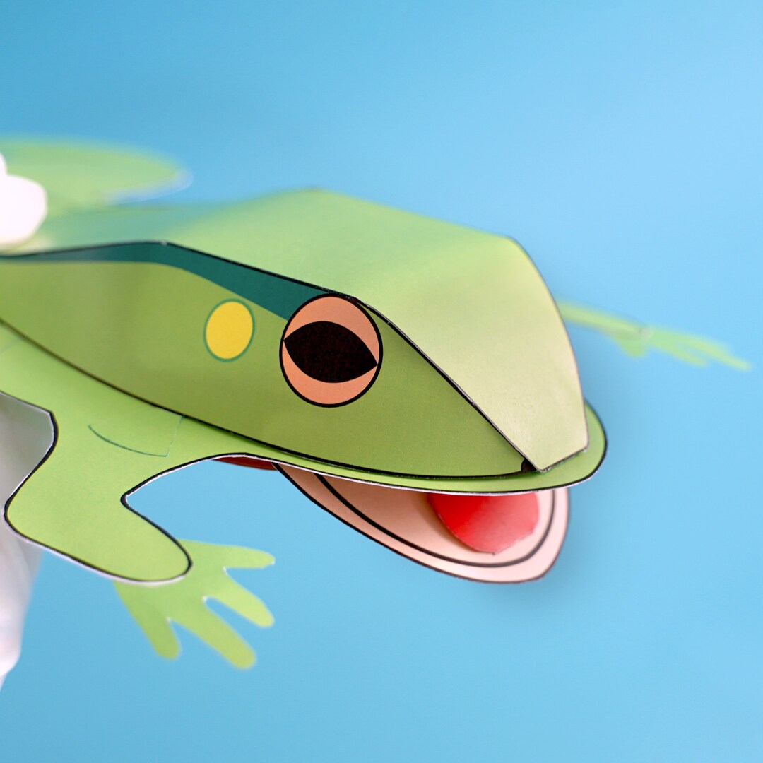 BIG Frog Model + Dissection (3D Pop-up & Anatomy Vocabulary) - Etsy