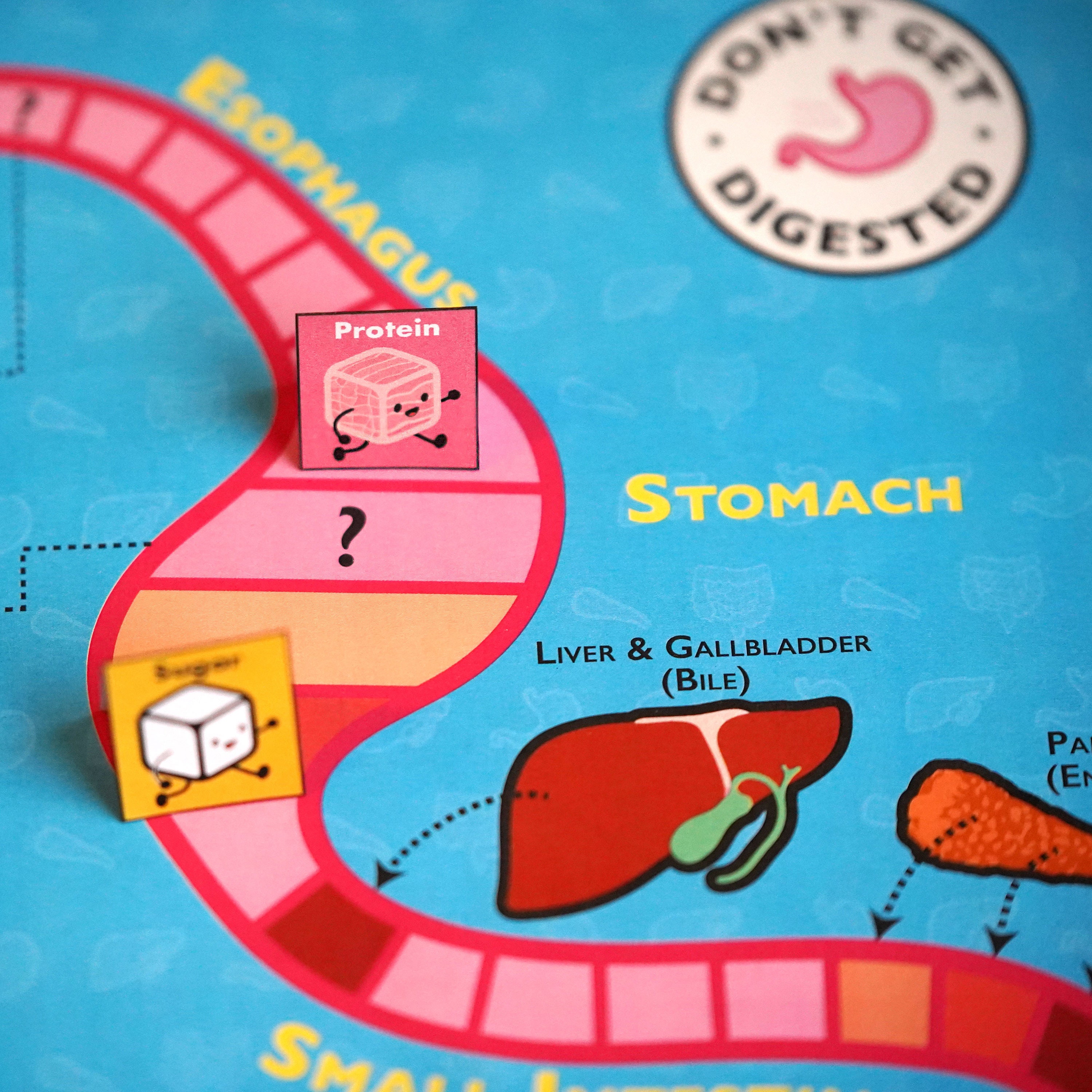 Digestive System Mini Game - Etsy