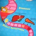 Digestive System Mini Game - Etsy