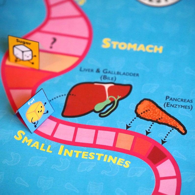 Digestive System Mini Game - Etsy