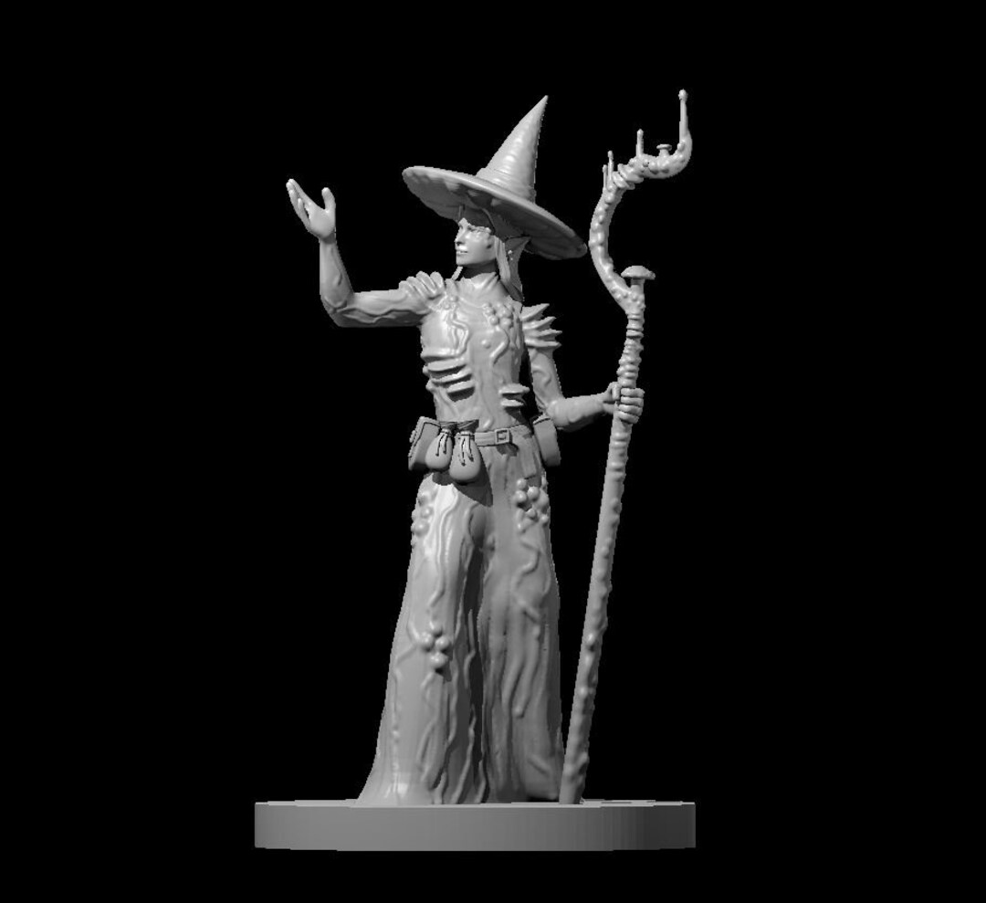 8K Female Elf Spore Circle Druid 1 - Role Playing Dnd Character - Etsy