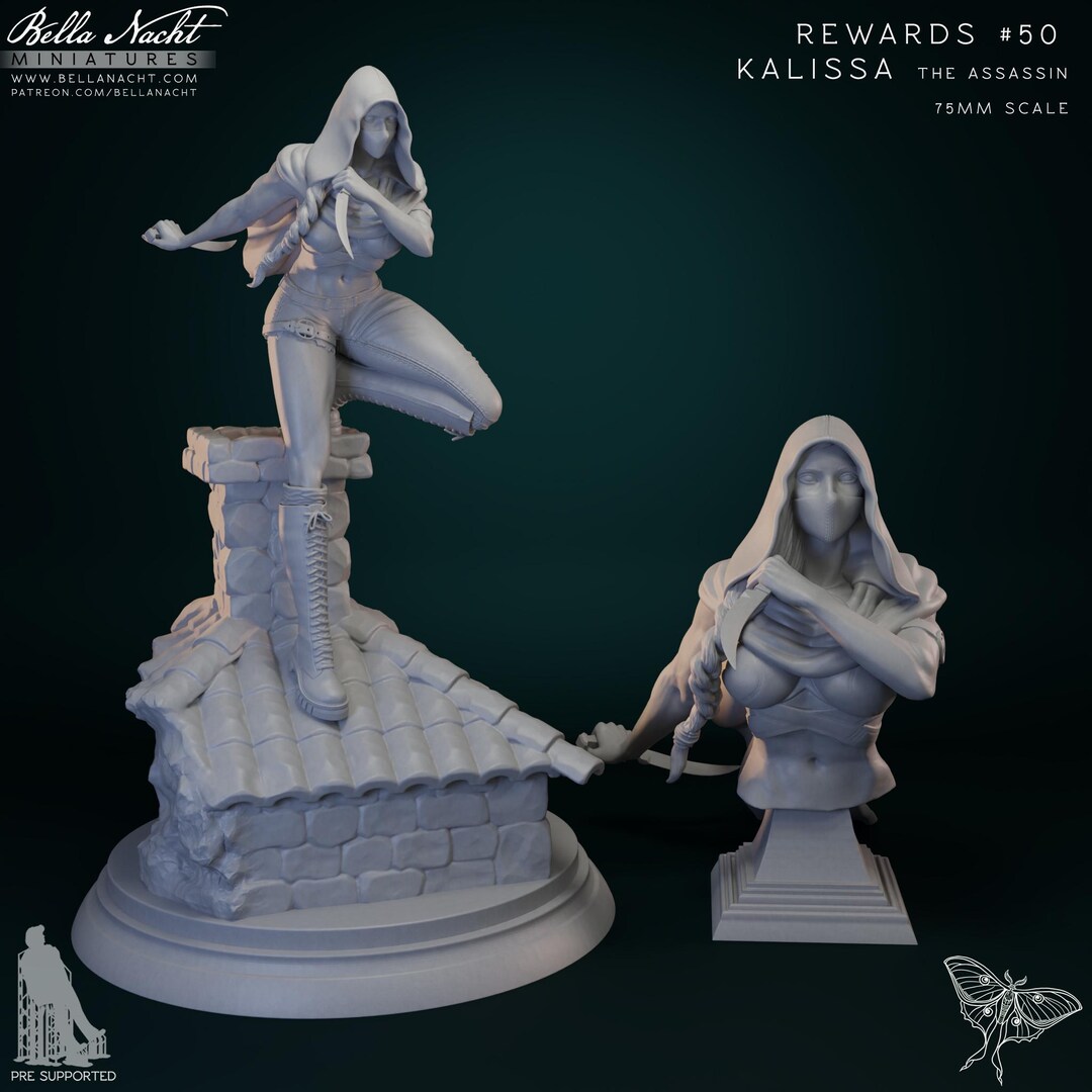 8K Kalissa the Assassin - Bella Nacht - Role Playing Miniature - Etsy
