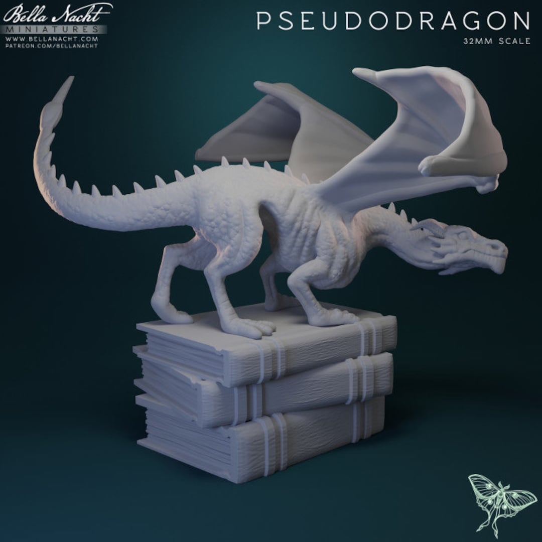 Pseudodragon - Bella Nacht - Role Playing Miniature - Etsy