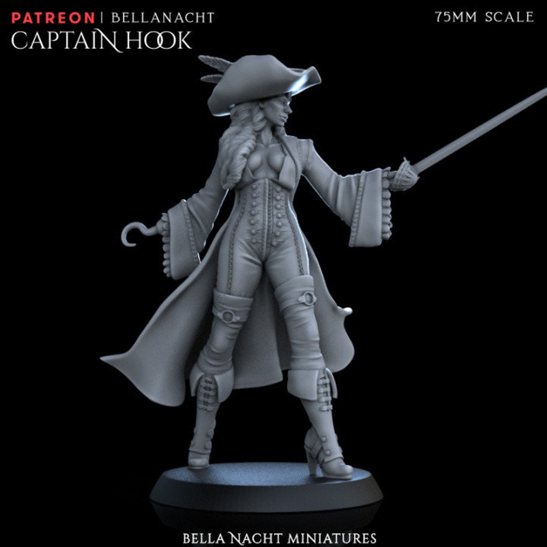 Captain Hook - Bella Nacht - Role Playing Miniature - Etsy