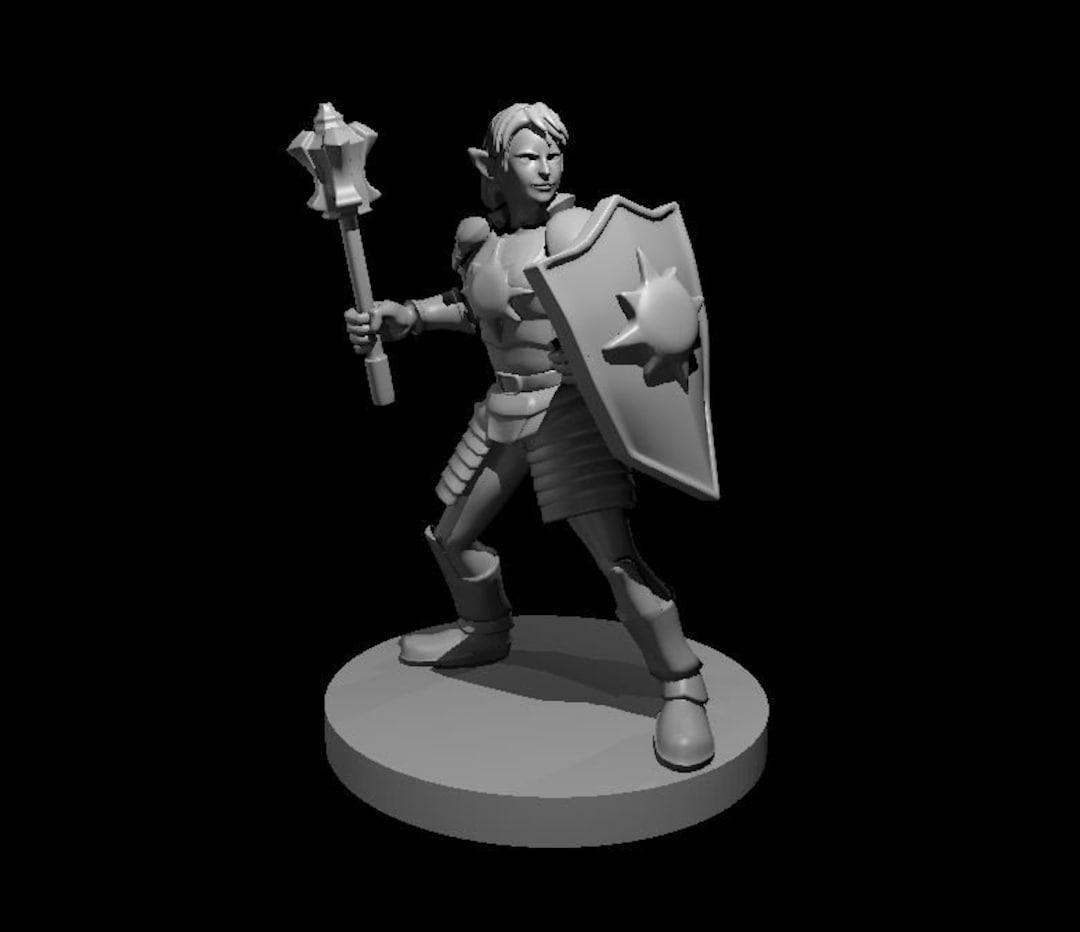 Female Elven Light Cleric - Role Playing Dnd Miniature - Dungeons and ...