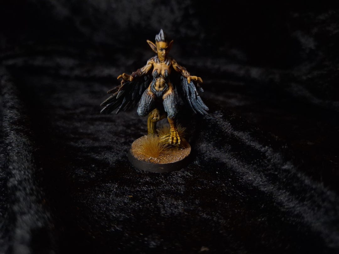 Painted Harpy - Role Playing Dnd Miniature - Galaad Miniatures ...