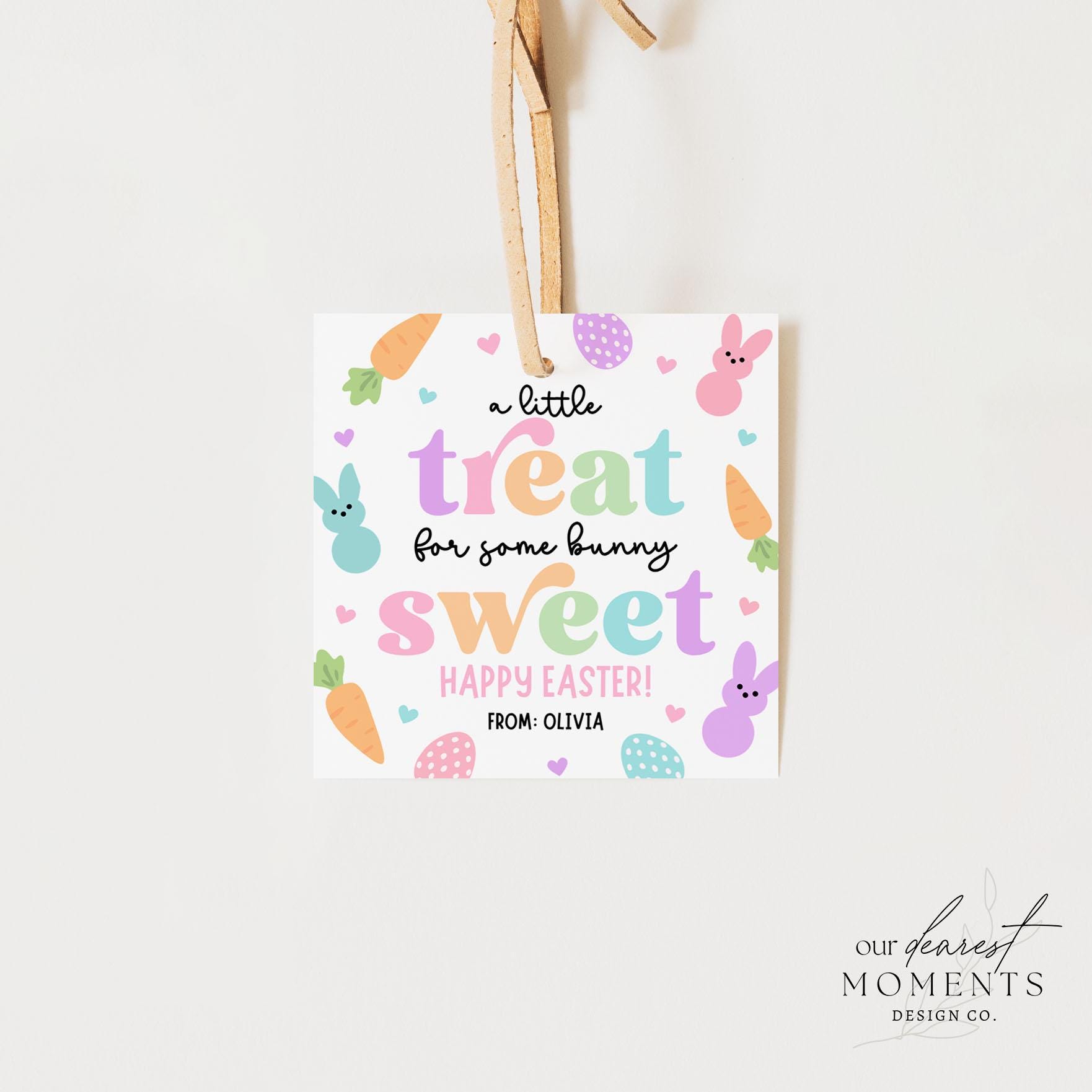 EDITABLE Prtinable Easter Gift Tags, Somebunny Sweet Tags, Bunny Treat ...