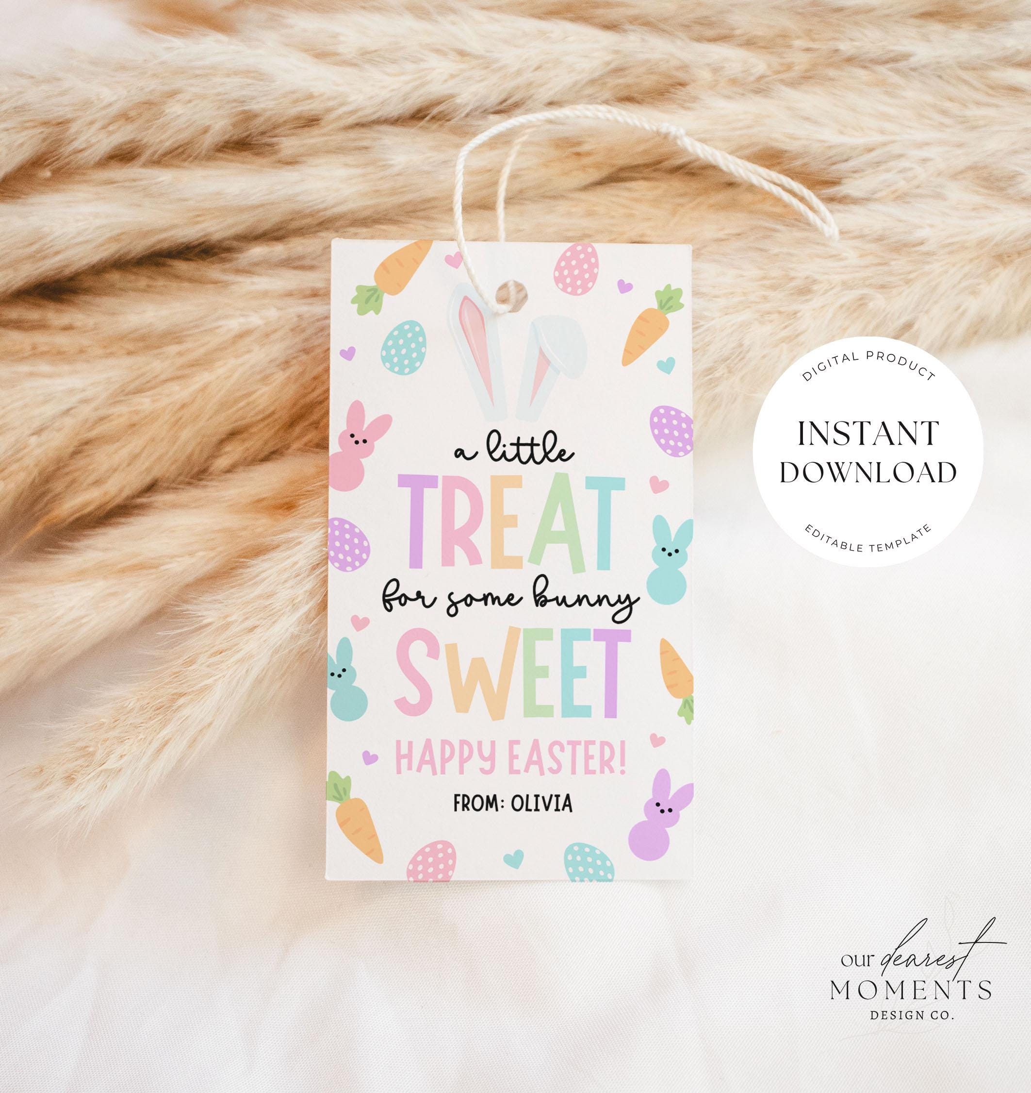 EDITABLE Prtinable Easter Gift Tags, Somebunny Sweet Tags, Bunny Treat ...