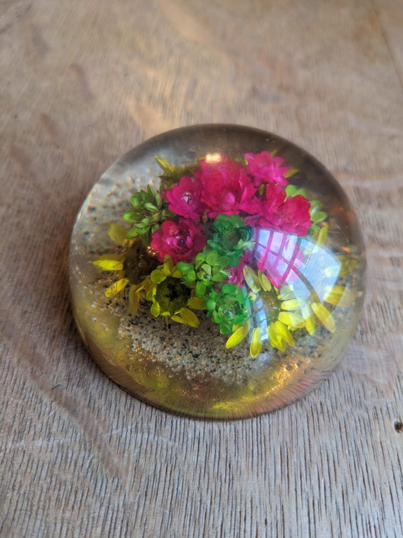 Vintage Neon Dried Flowers Half Sphere Resin Suncatcher Paperweight - Etsy