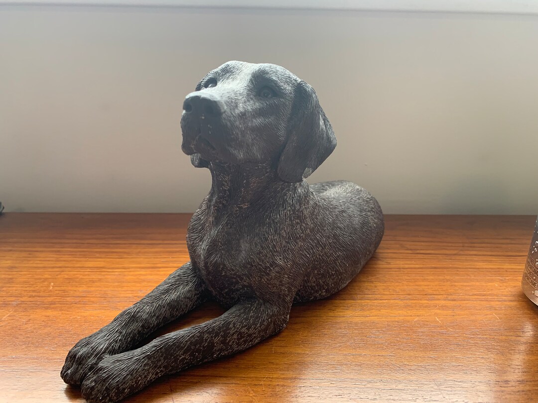 Sandicast German Shorthaired Pointer Dog Sculpture Figure 1990 - Etsy