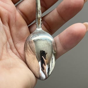 Queen Elizabeth II 1953 Coronation Spoon, Collectible Silver Spoon ...