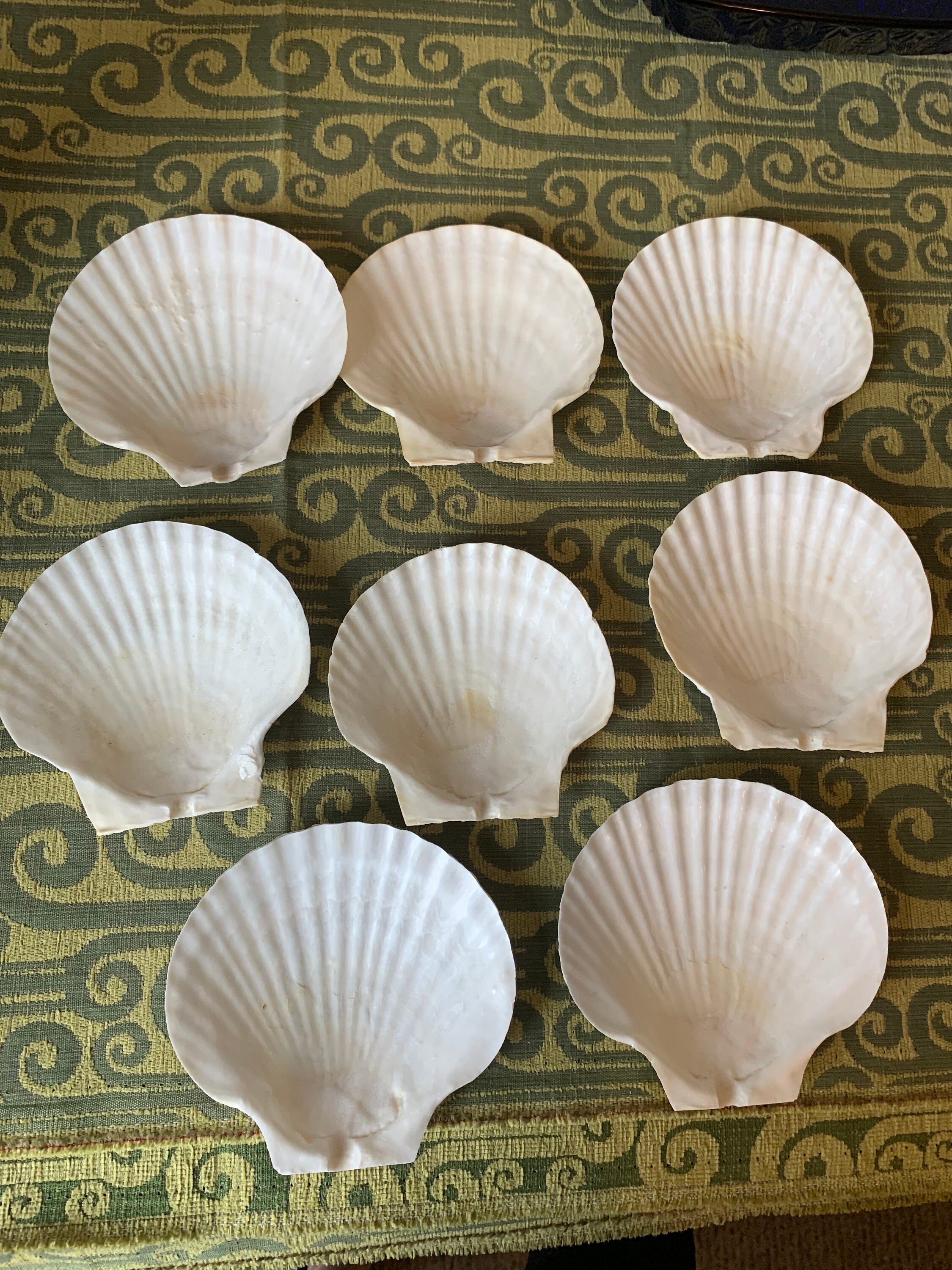 Scallop Clam Shell Baking Dishes Set, Seafood Crab Cakes, 5 Gift Idea ...