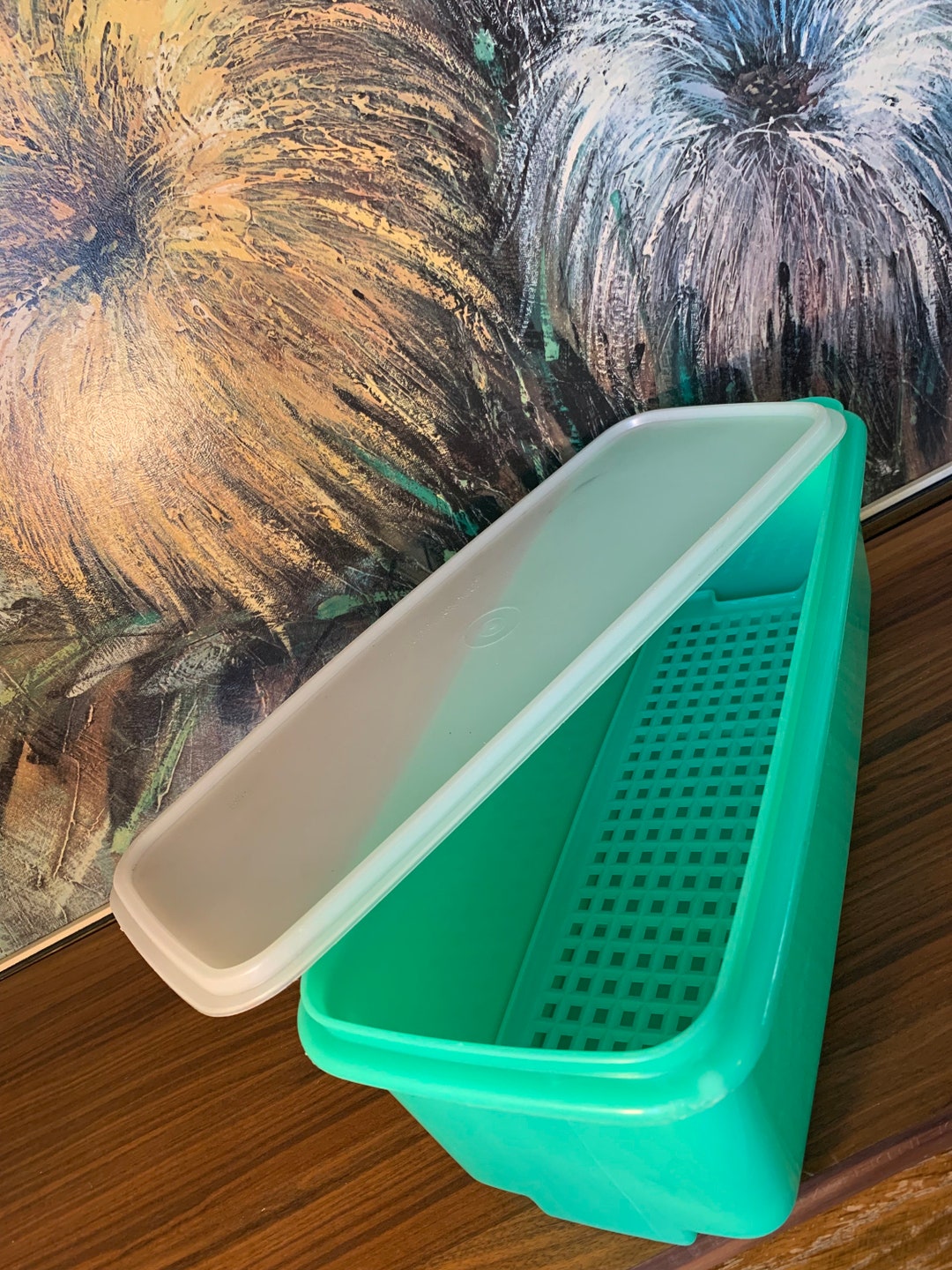 Vintage Tupperware Jadeite Celery Crisp, Bread Box 14", Kitchen Storage ...