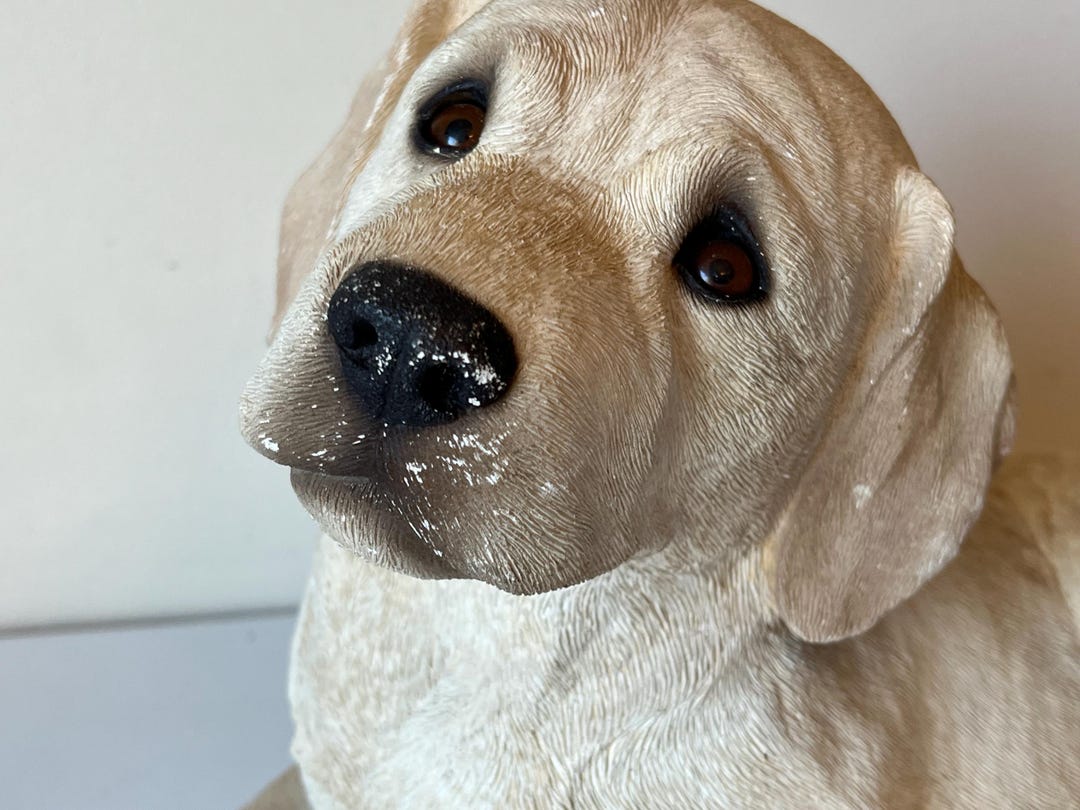 Sandicast Yellow Labrador Puppy Sculpture, 17" Lifesize Dog Statue ...