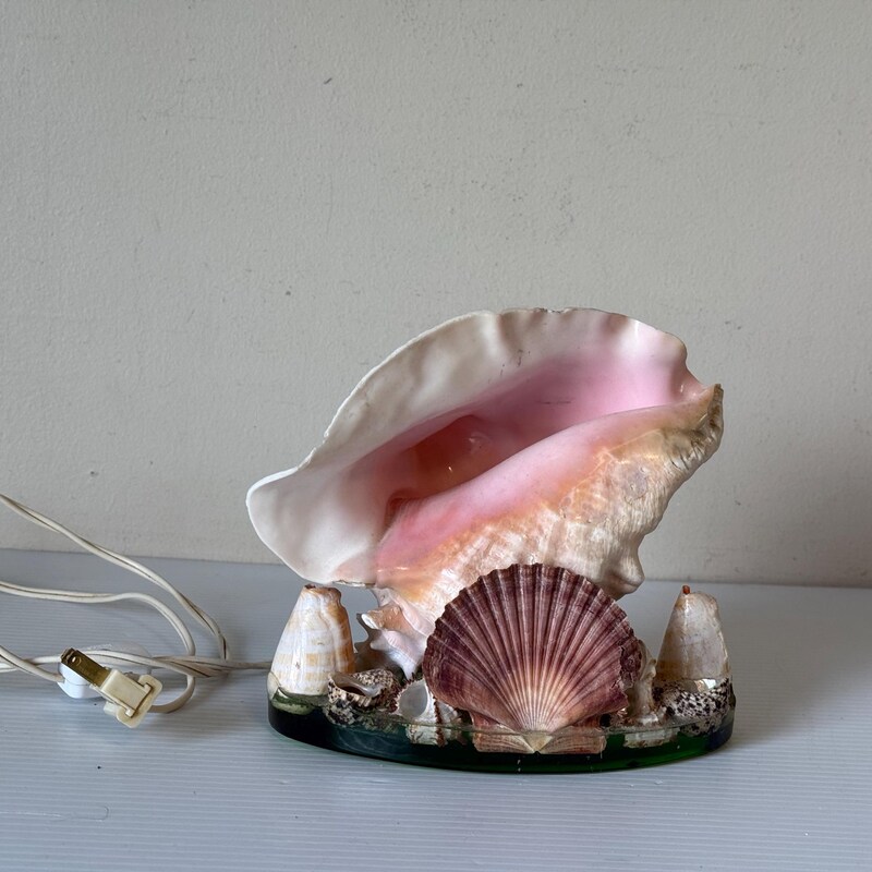 Conch Shell Lamp - Etsy