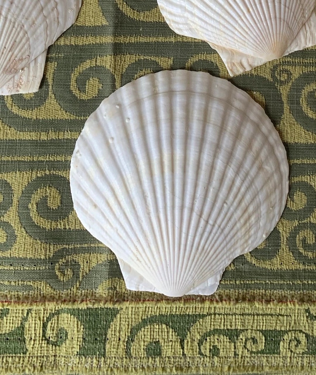 Scallop Clam Shell Baking Dishes Set, Seafood Crab Cakes, 5 Gift Idea ...