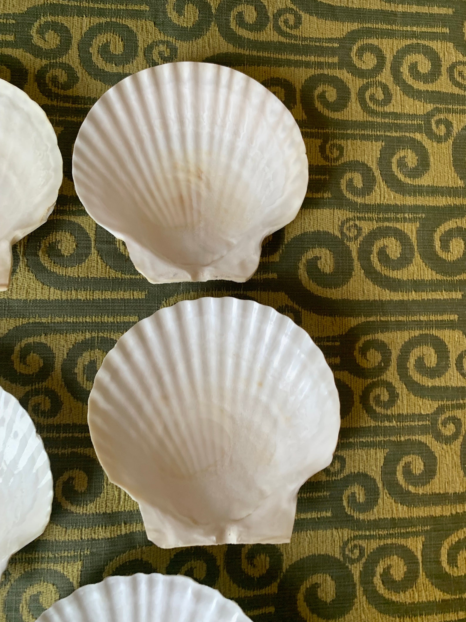 Scallop Clam Shell Baking Dishes Set, Seafood Crab Cakes, 5 Gift Idea ...